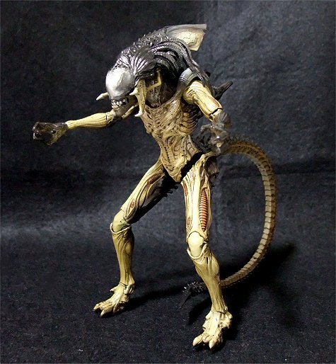 22.11.18 HIYA TOYS EXQUISITE MINI / ALIENS VS. PREDETOR 22.11.18 HIYA TOYS EXQUISITE MINI / ALIENS VS. PREDETOR